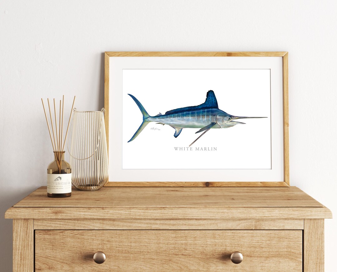 White Marlin Print, Coastal Art, Fine Art Print, Saltwater Gamefish ...
