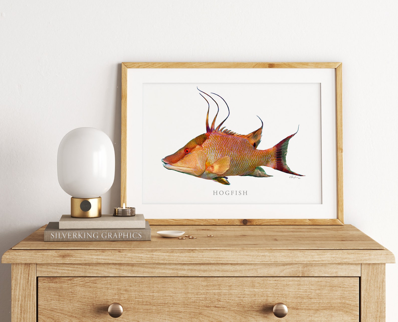 Hogfish Painting, Hogfish Print, Hogfish Poster, Florida Art, Coastal ...