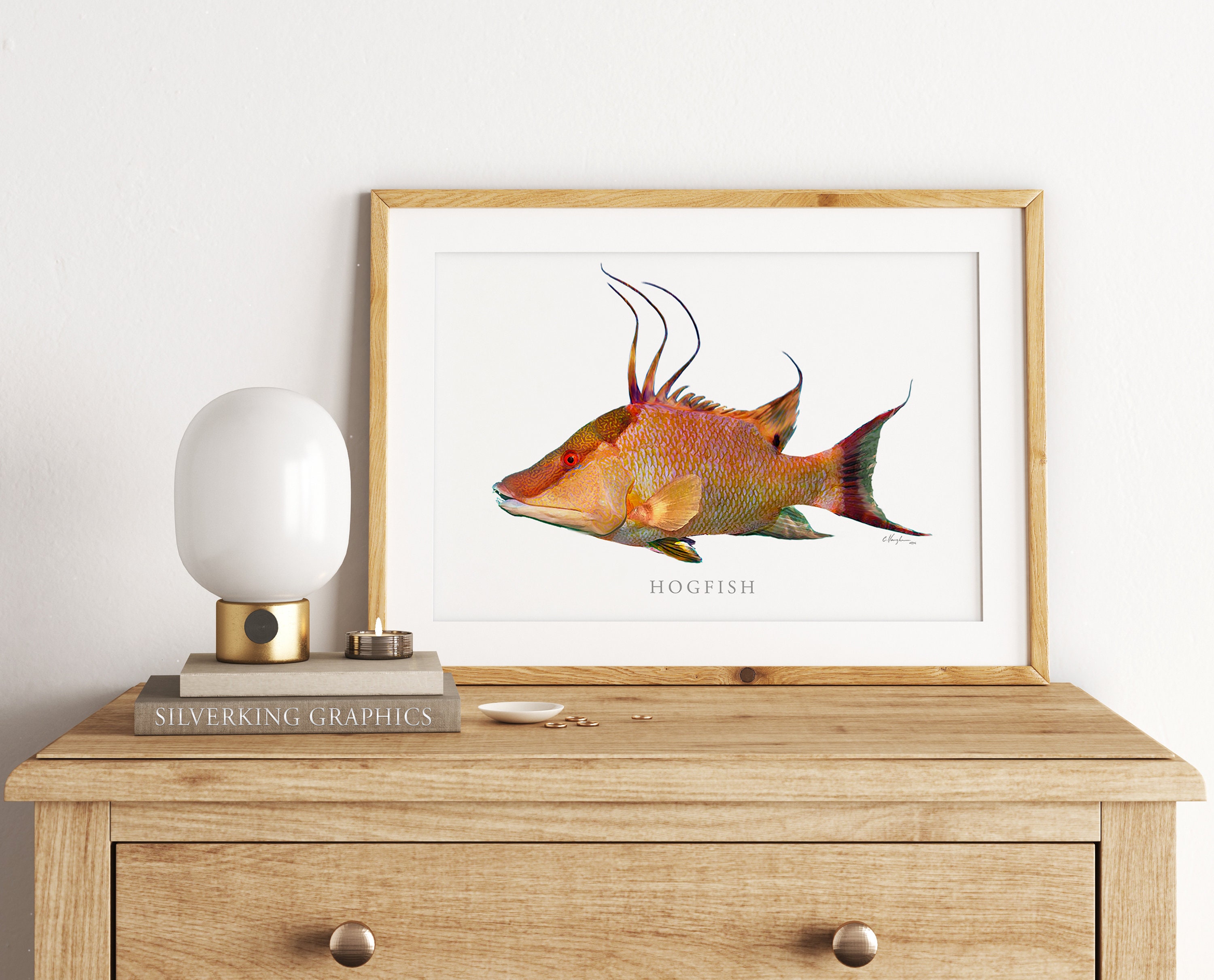 Hogfish Painting, Hogfish Print, Hogfish Poster, Florida Art, Coastal ...