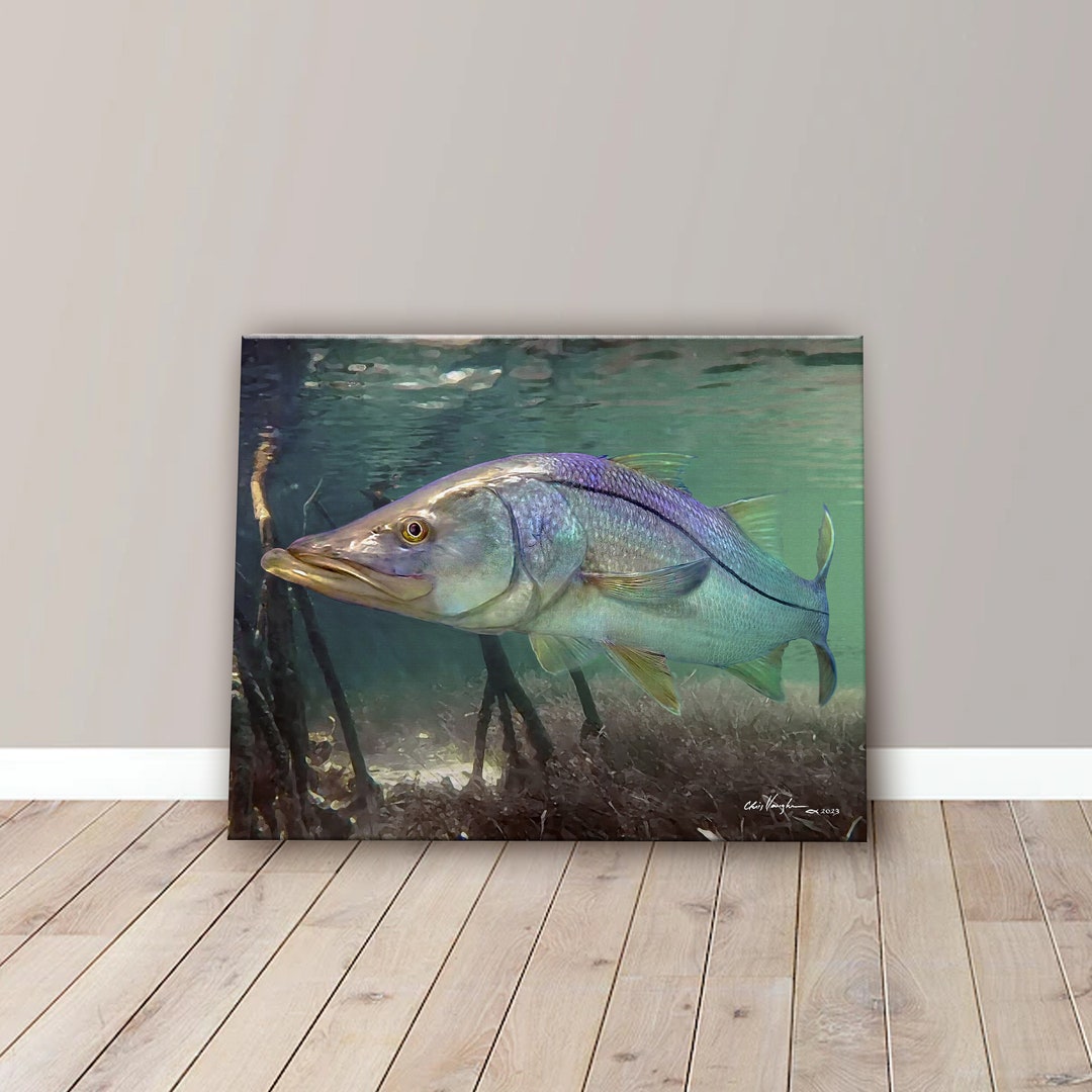 Snook Painting, Snook Canvas Print, Gallery Wrapped Canvas, Fish Art ...