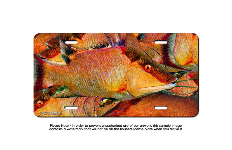 Hogfish License Plate, Hogfish Decorative License Plate, Hogfish ...