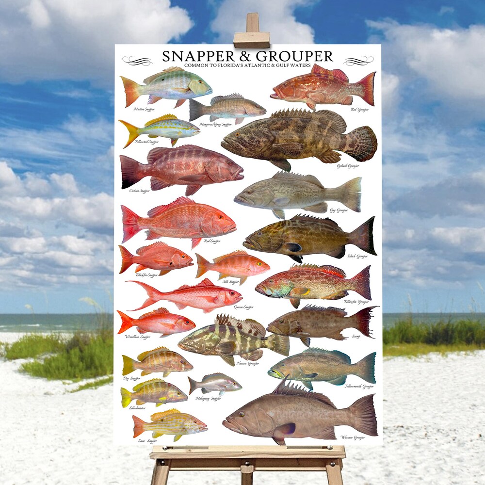 SilverkingGraphics - Etsy