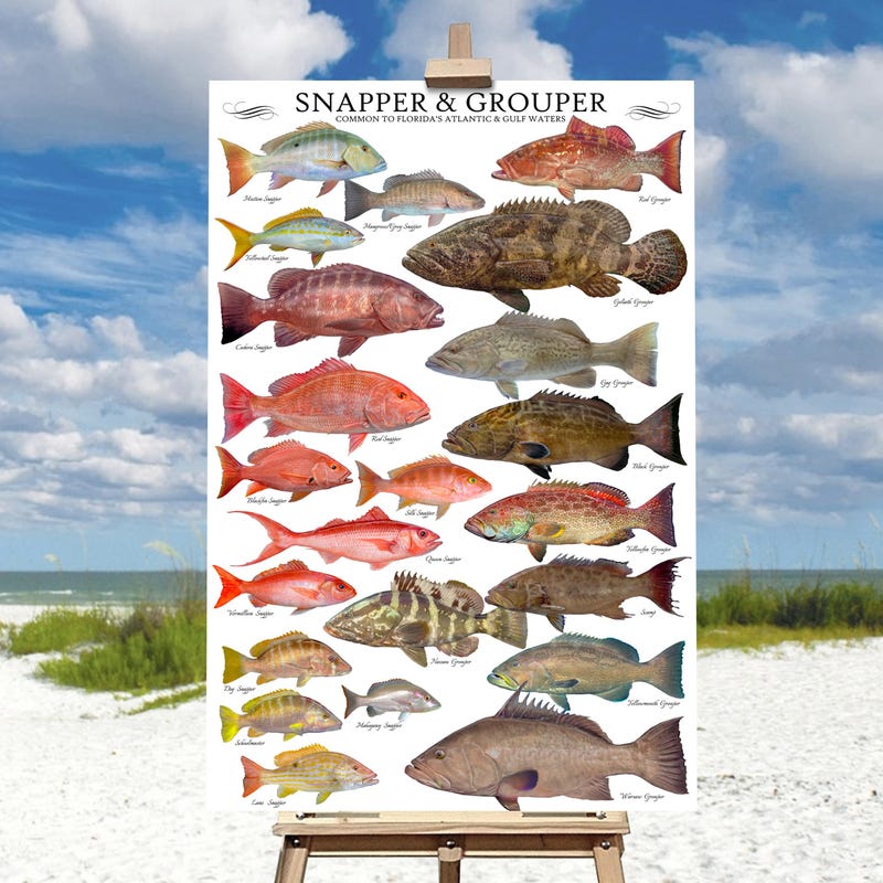 SilverkingGraphics - Etsy
