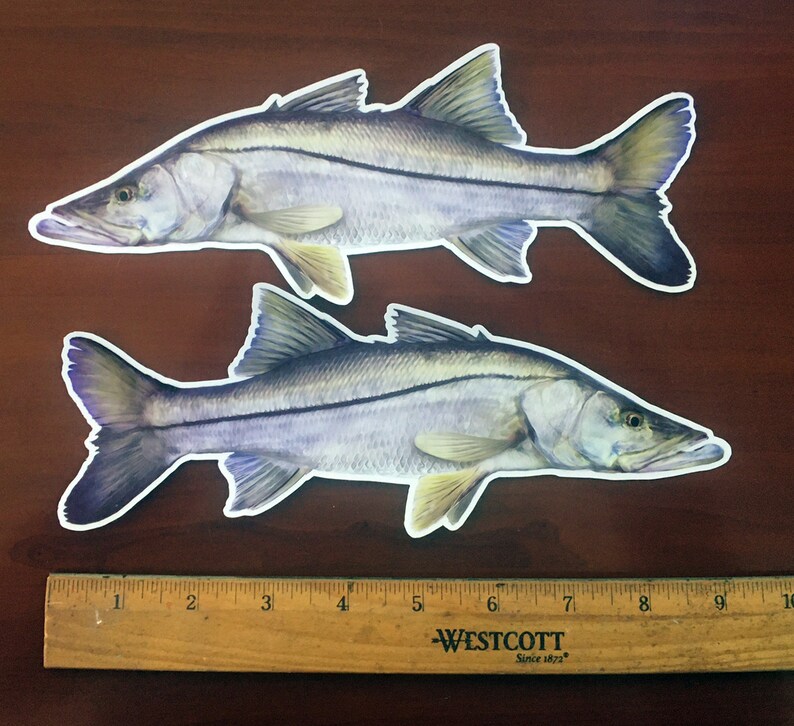 Snook Snook Decal Snook Sticker Fishing Decal - Etsy