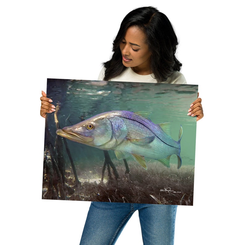 Snook, Dogfish, Snook Print, Snook Poster, Coastal Art, Fine Art Print ...