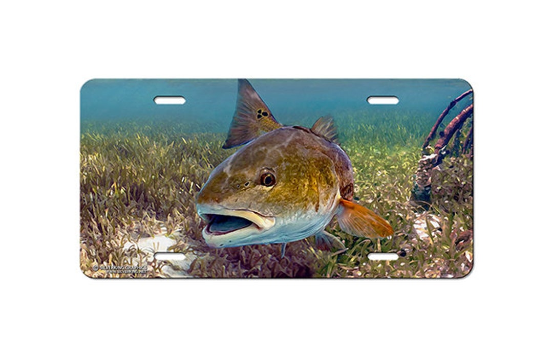 Redfish License Plate, Fisherman Decorative License Plate, Redfish ...