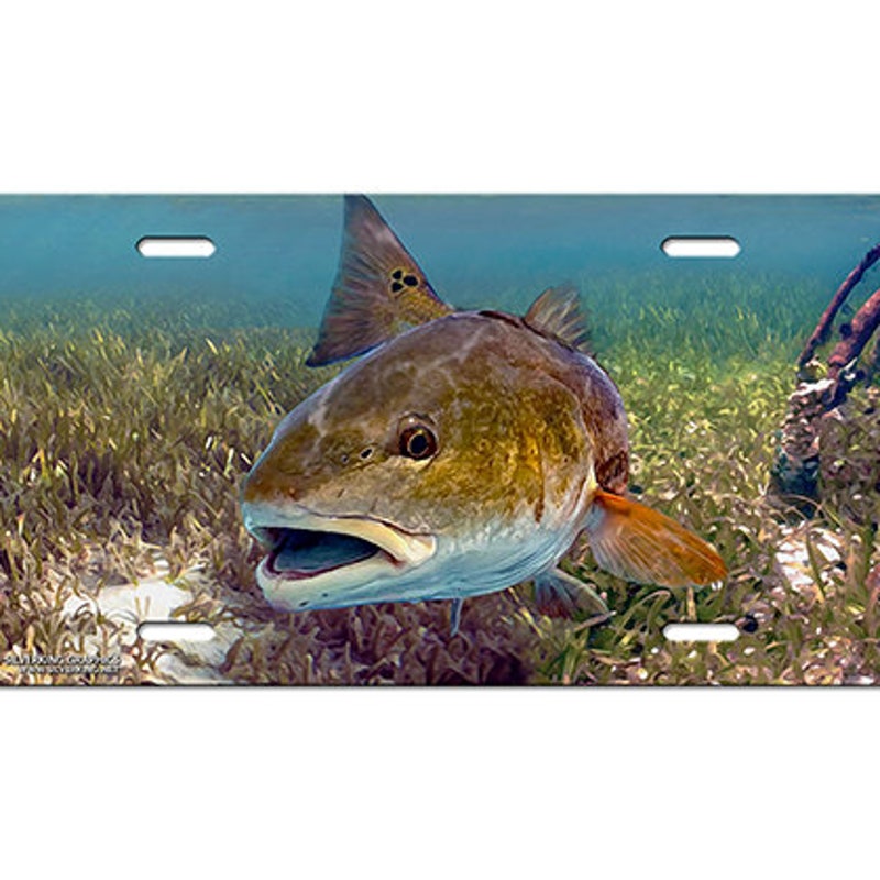 SilverkingGraphics - Etsy