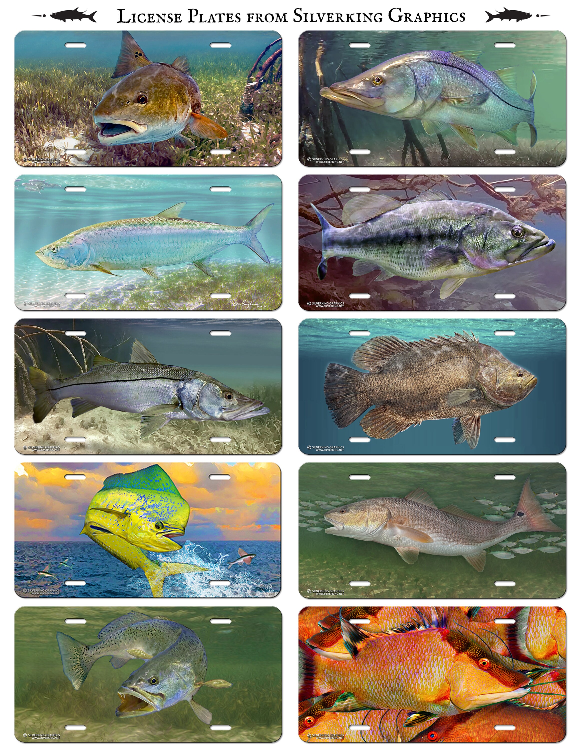 Fishing License Plate Fisherman Tripletail Decorative License Plate ...