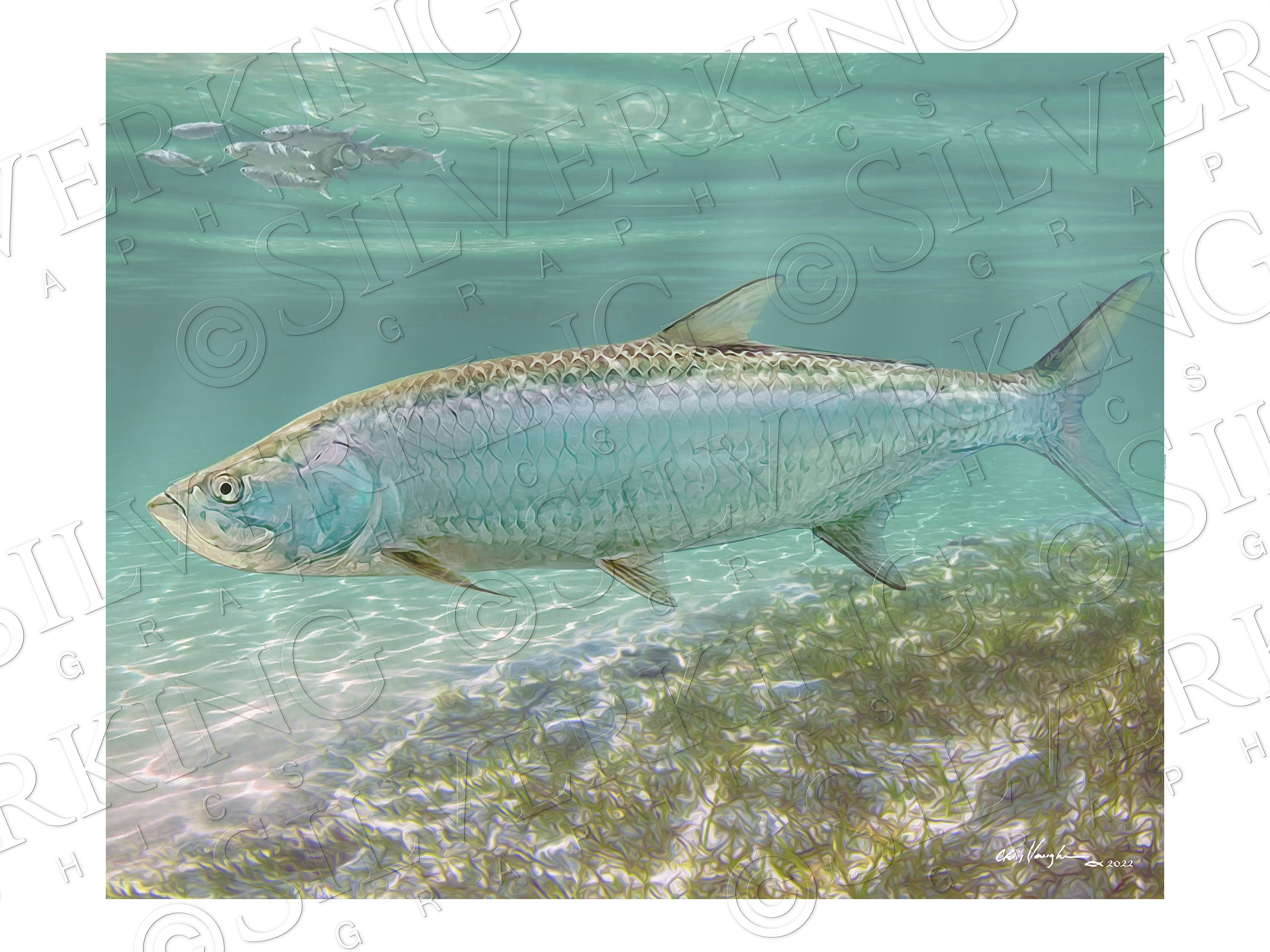 Tarpon Print Silverking Tarpon Poster Coastal Art Fine Art - Etsy