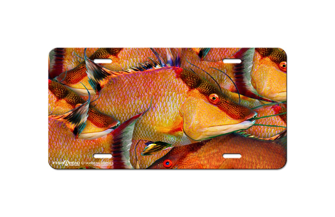 Hogfish License Plate Hogfish Decorative License Plate - Etsy