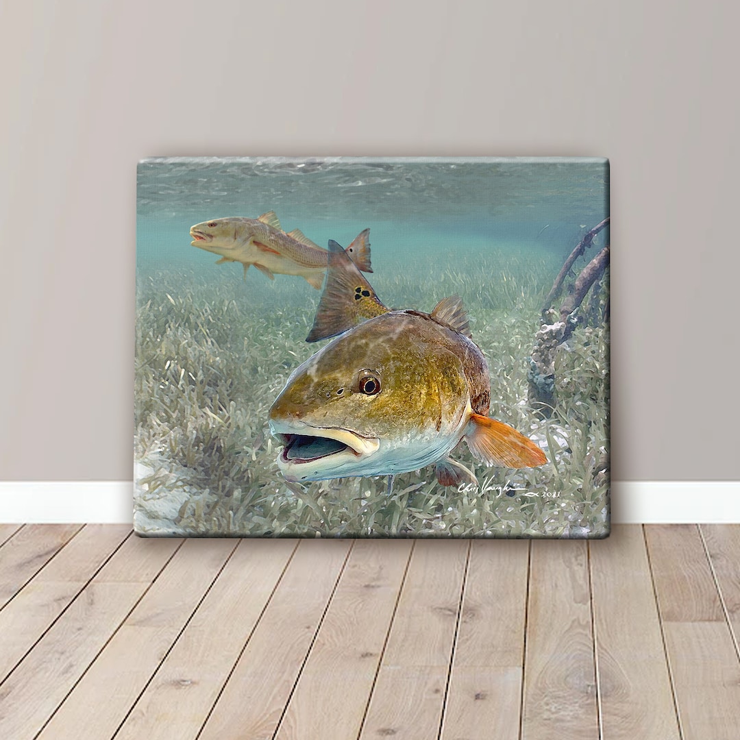 Redfish Painting, Redfish Canvas Print, 20" X 16" Gallery Wrapped ...
