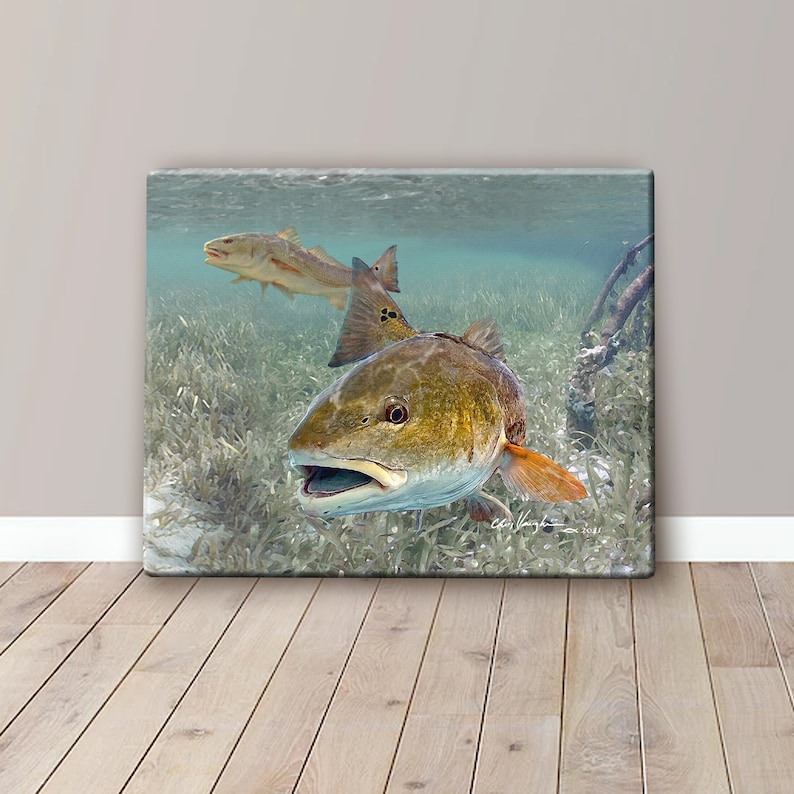Redfish Painting, Redfish Canvas Print, 20" X 16" Gallery Wrapped ...