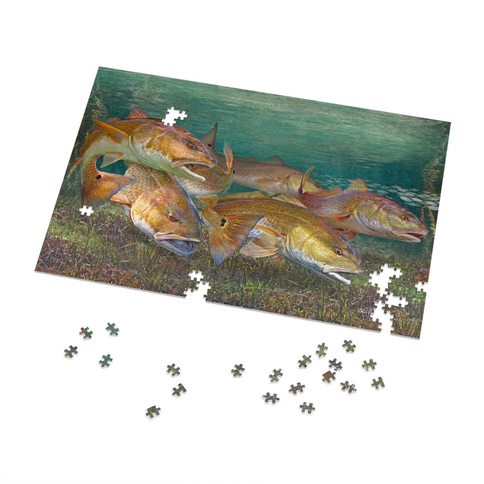 Redfish School Jigsaw Puzzle With Keepsake Tin Box - Etsy
