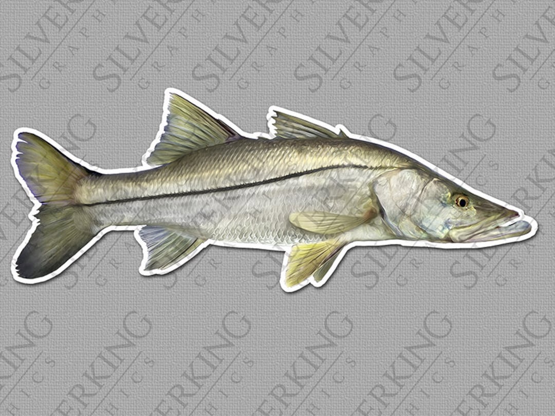 Snook, Snook Decal, Snook Sticker, Fishing Decal - Etsy