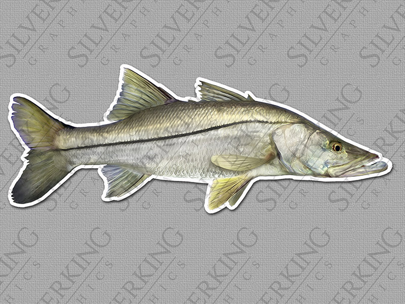 Snook, Snook Decal, Snook Sticker, Fishing Decal - Etsy