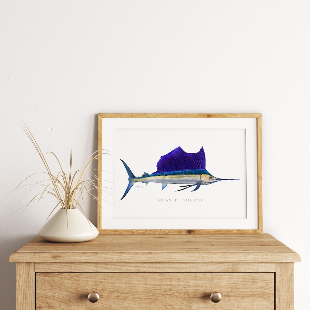 Sailfish Print, Coastal Art, Fine Art Print, Saltwater Gamefish Picture ...