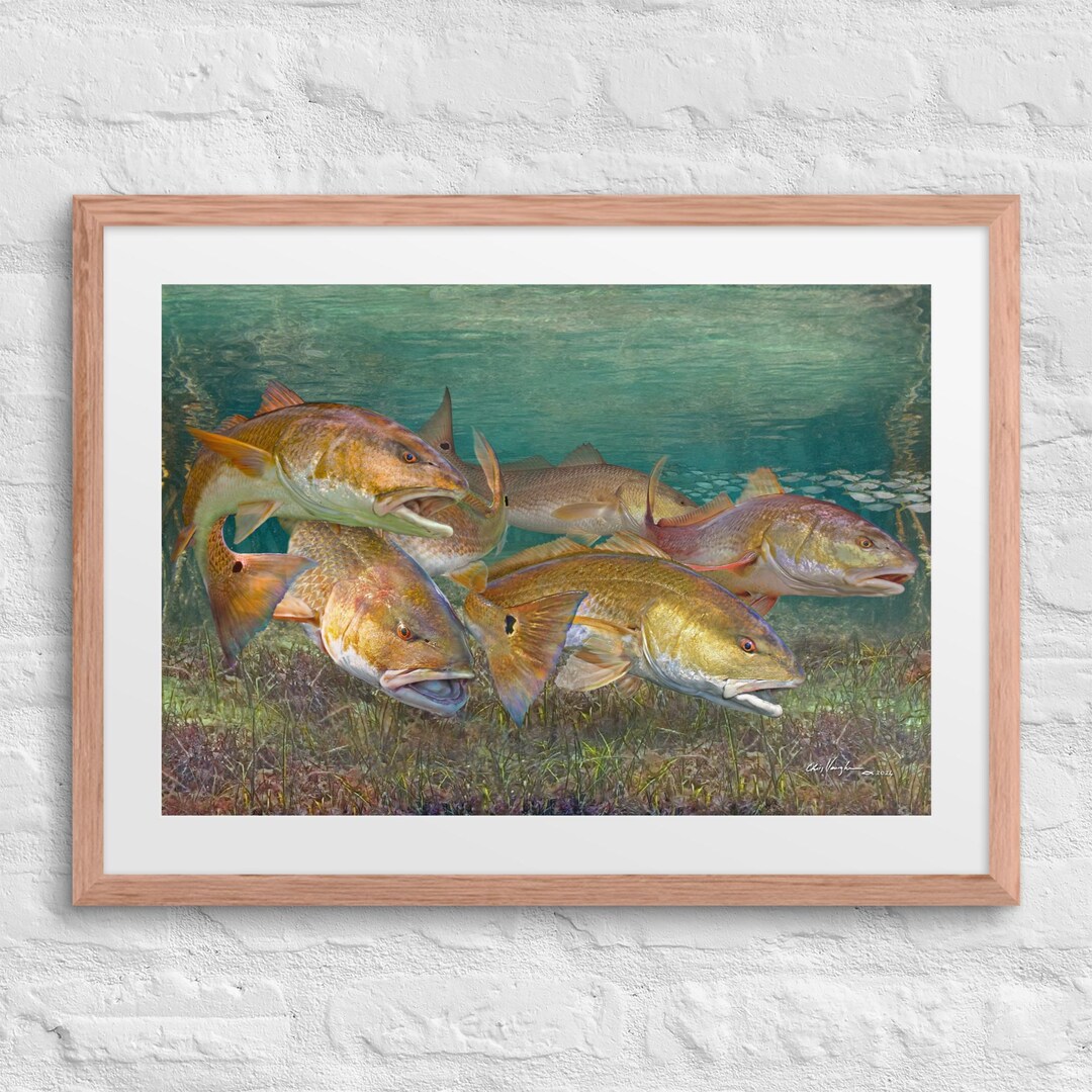 24" X 18" Framed & Matted Redfish Print, Framed Redfish Giclee Paper ...