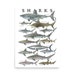 Shark Poster, Shark Species ID Poster, Shark ID Chart, Coastal Art ...