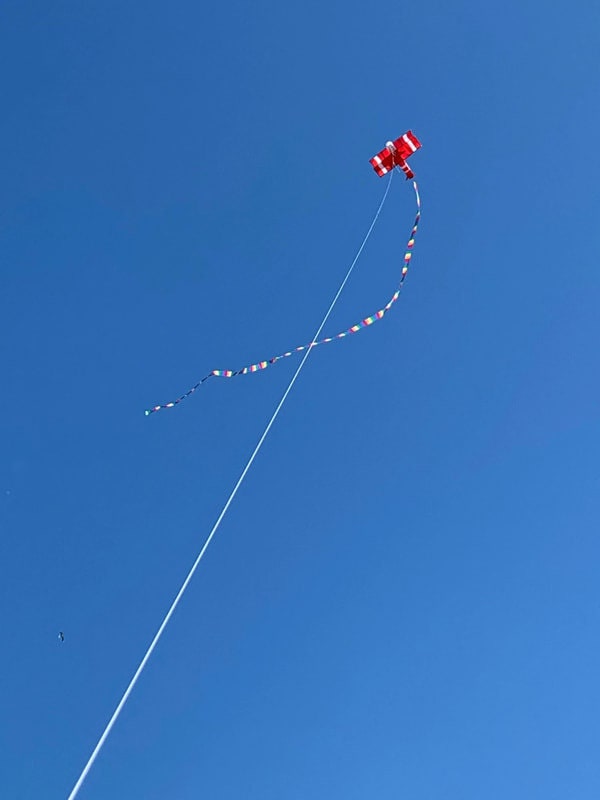 Red Baron 3D Single Line Red White Kite Outdoor Fun Sports Beach W/25 ...