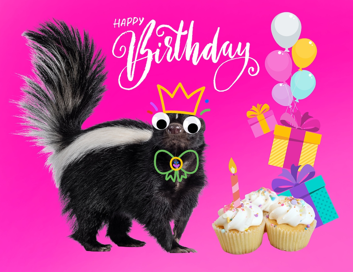 Happy Birthday Skunk Funny Animal Birthday Card or Party Invitation for ...
