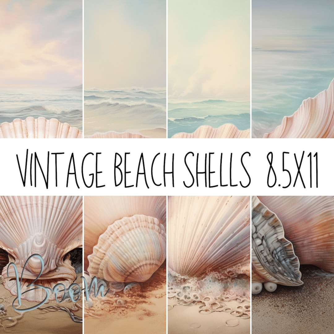 Vintage Sea Shells, Vintage Beach, Ocean Shell, Digital Paper, 8.5 X 11 ...