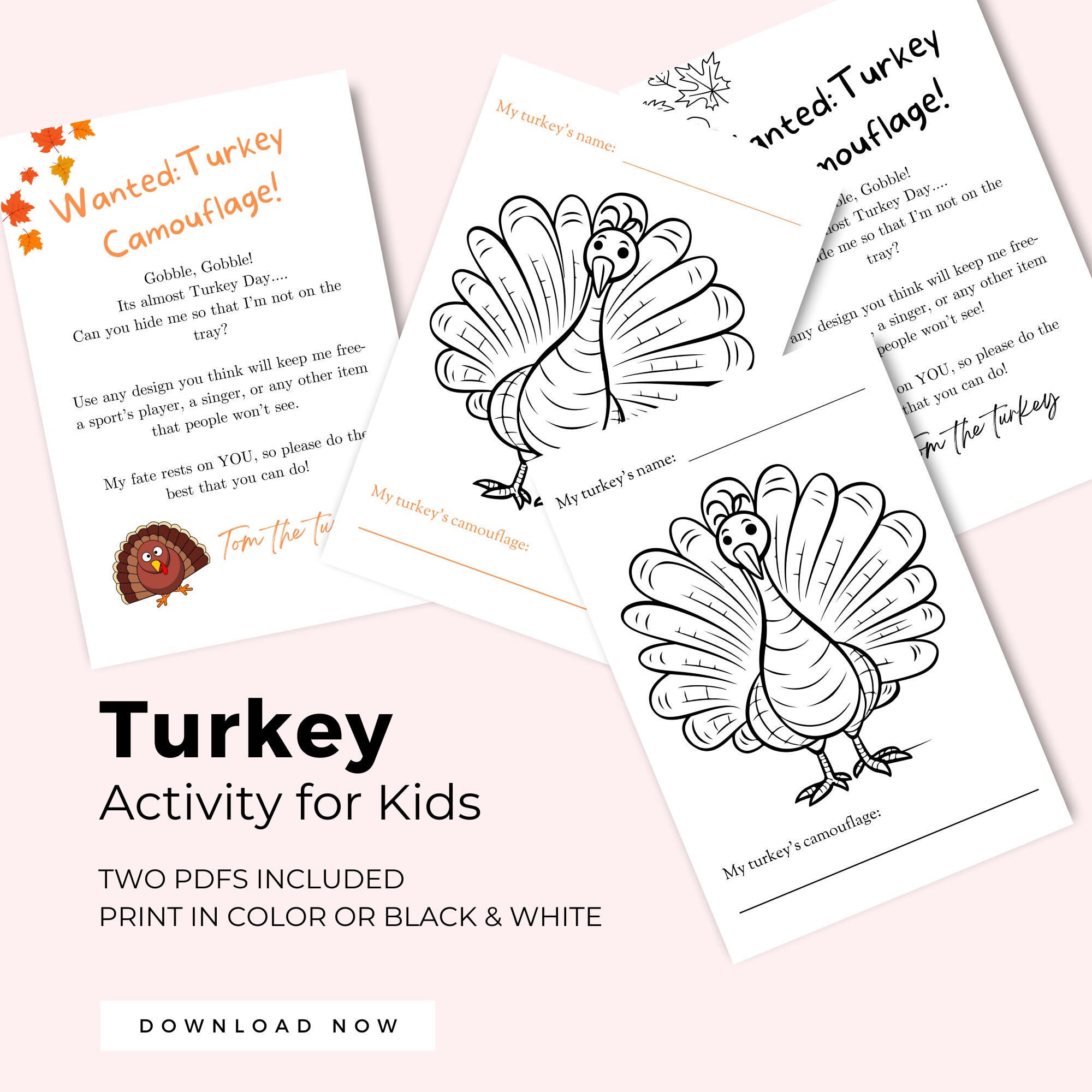 Turkey Camouflage Activity for Kids, Kindergarten Thanksgiving ...