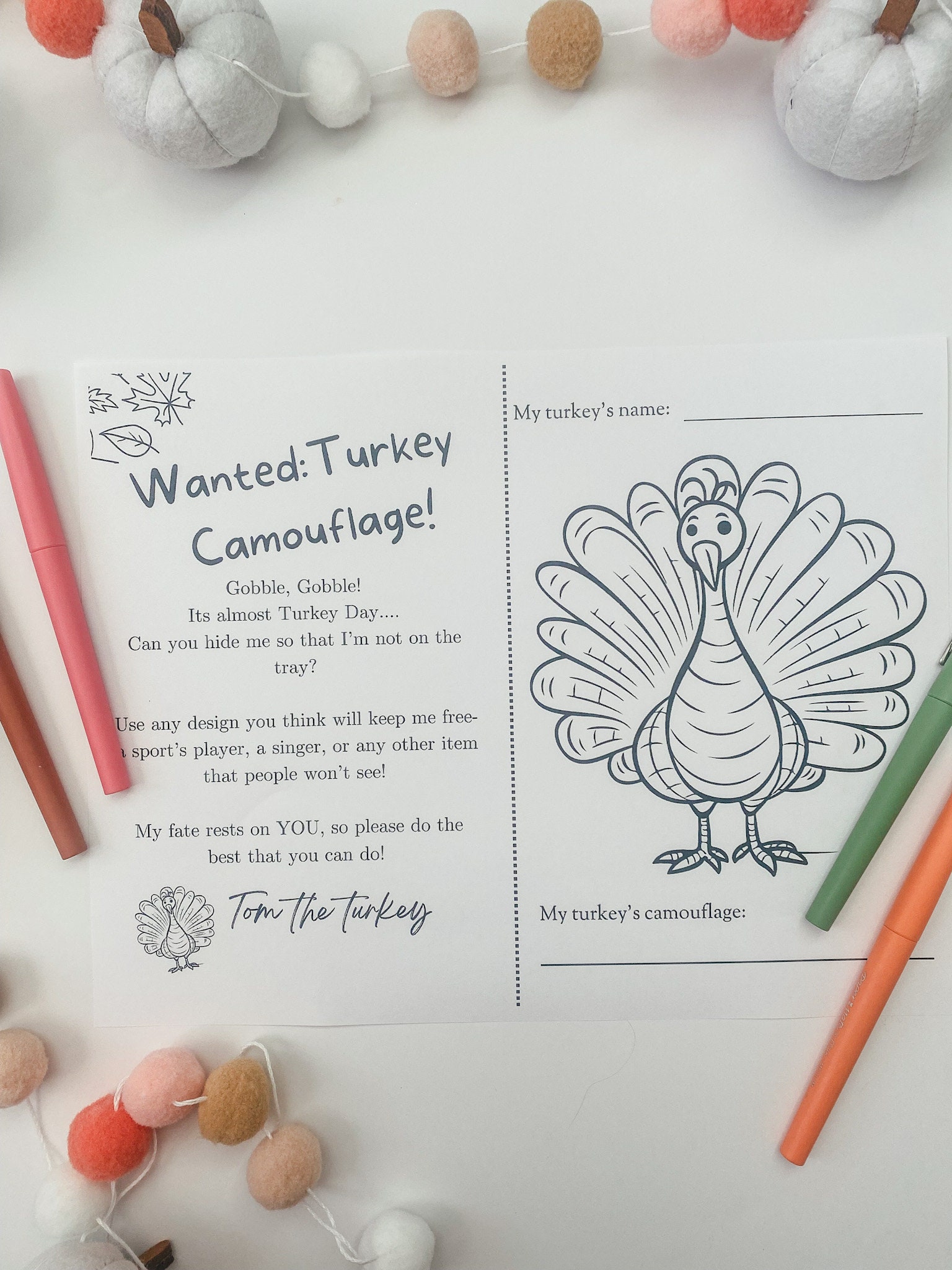 Turkey Disguise Craft, Turkey Camouflage Activity for Kids ...