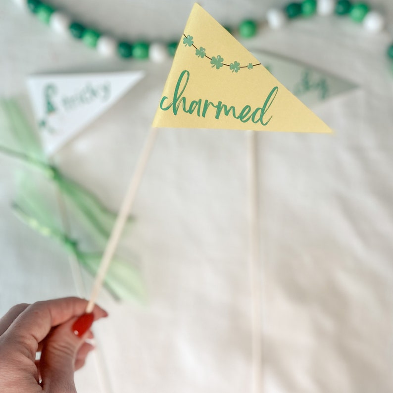 St. Patrick's Day Pennant Printables, Saint Patty's Day Photo Props for ...