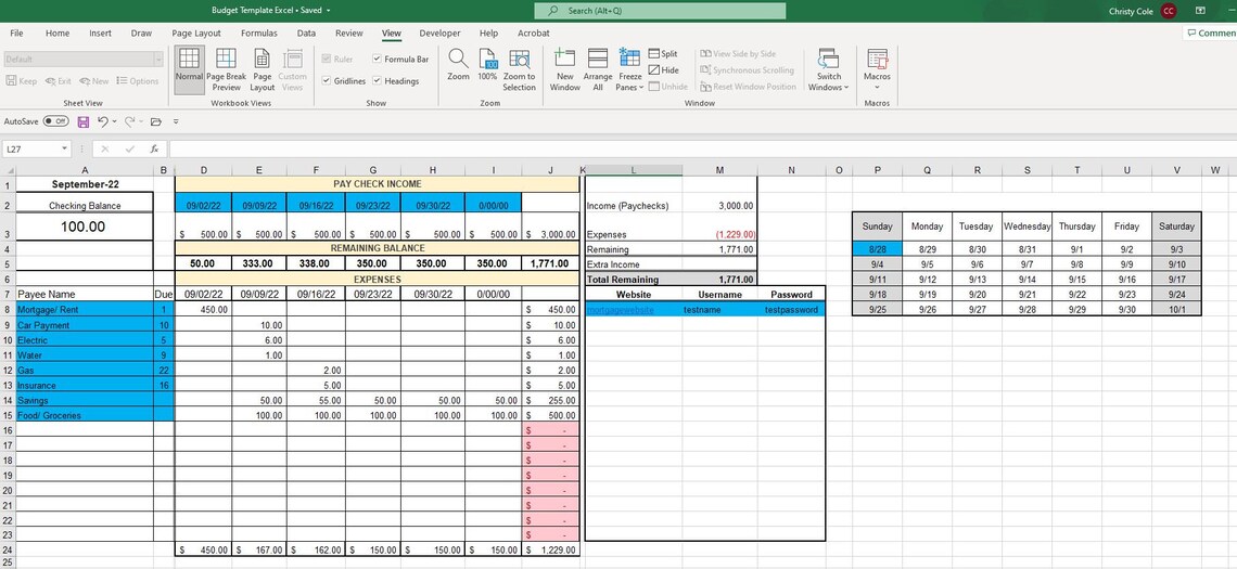 Budget Template- Check Register- Download for Excel - Etsy