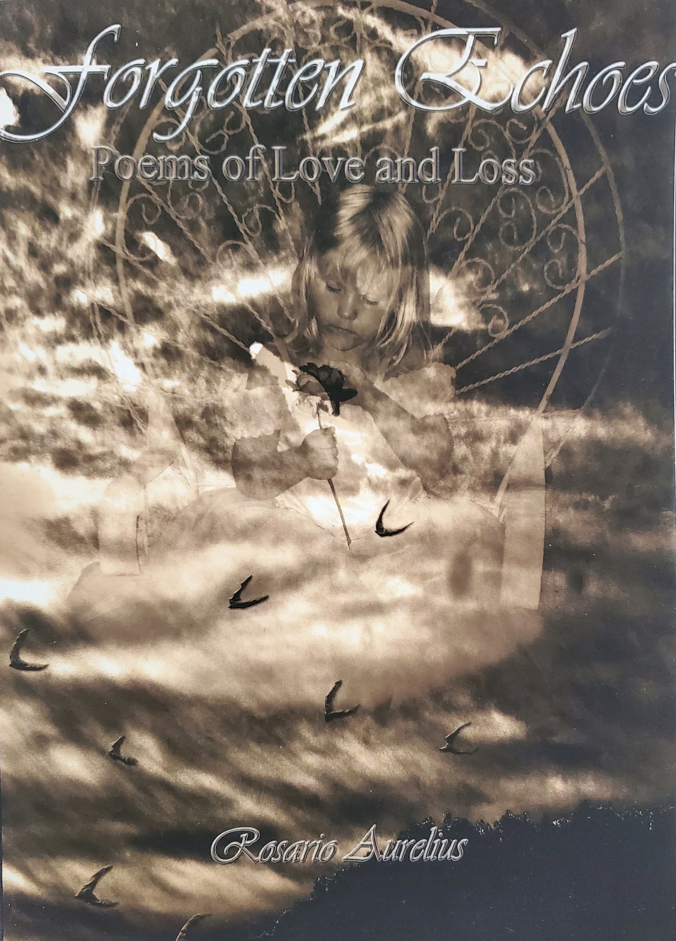 Forgotten Echoes: Poems on Love and Loss - Etsy