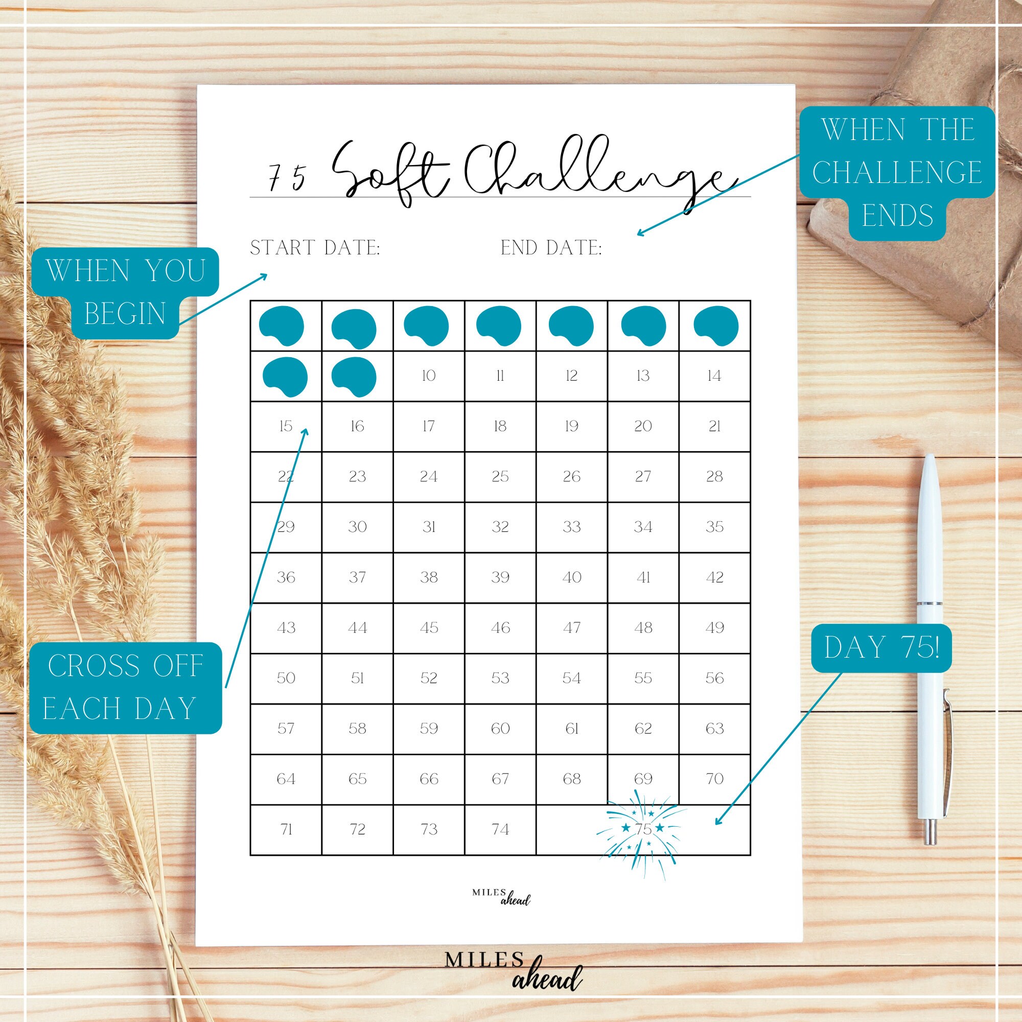 75 Soft Challenge Tracker | Printable Habit Checklist (PDF) - Etsy