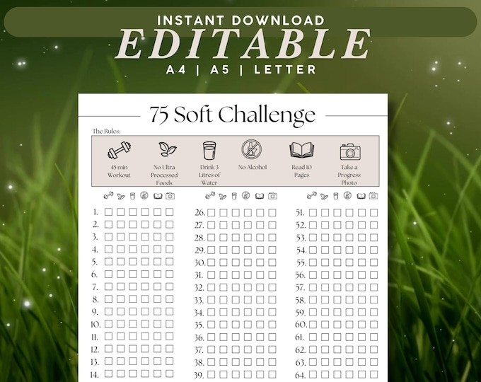 75 Soft Challenge Tracker • Google Sheets Template • Daily Habit ...
