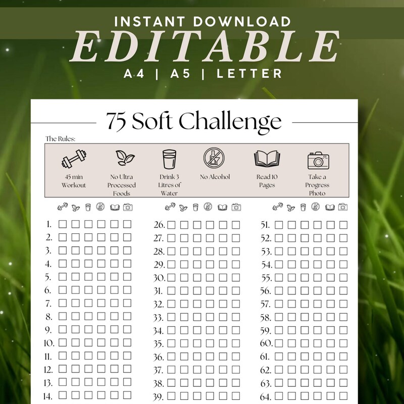 75 Hard Printable - Etsy