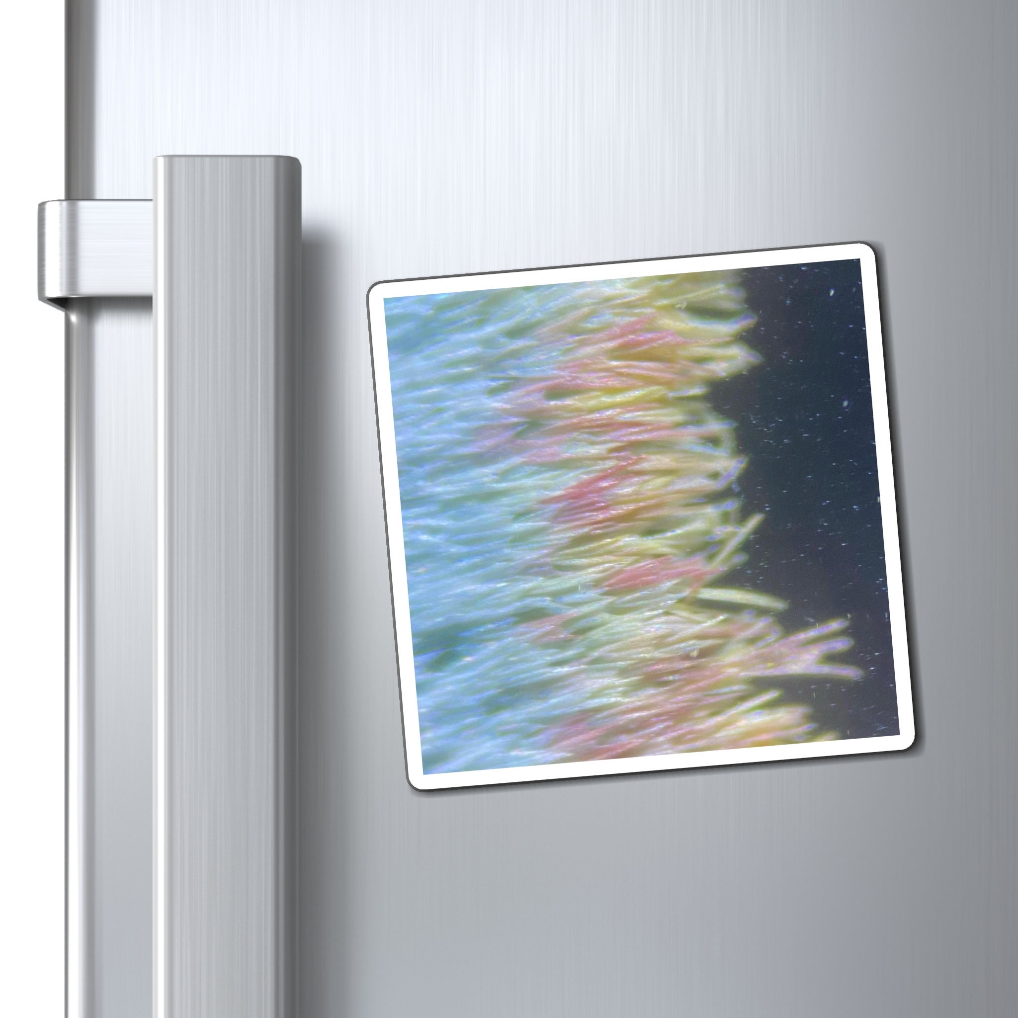 Luna Moth Wing Under Microscope Magnet - Etsy