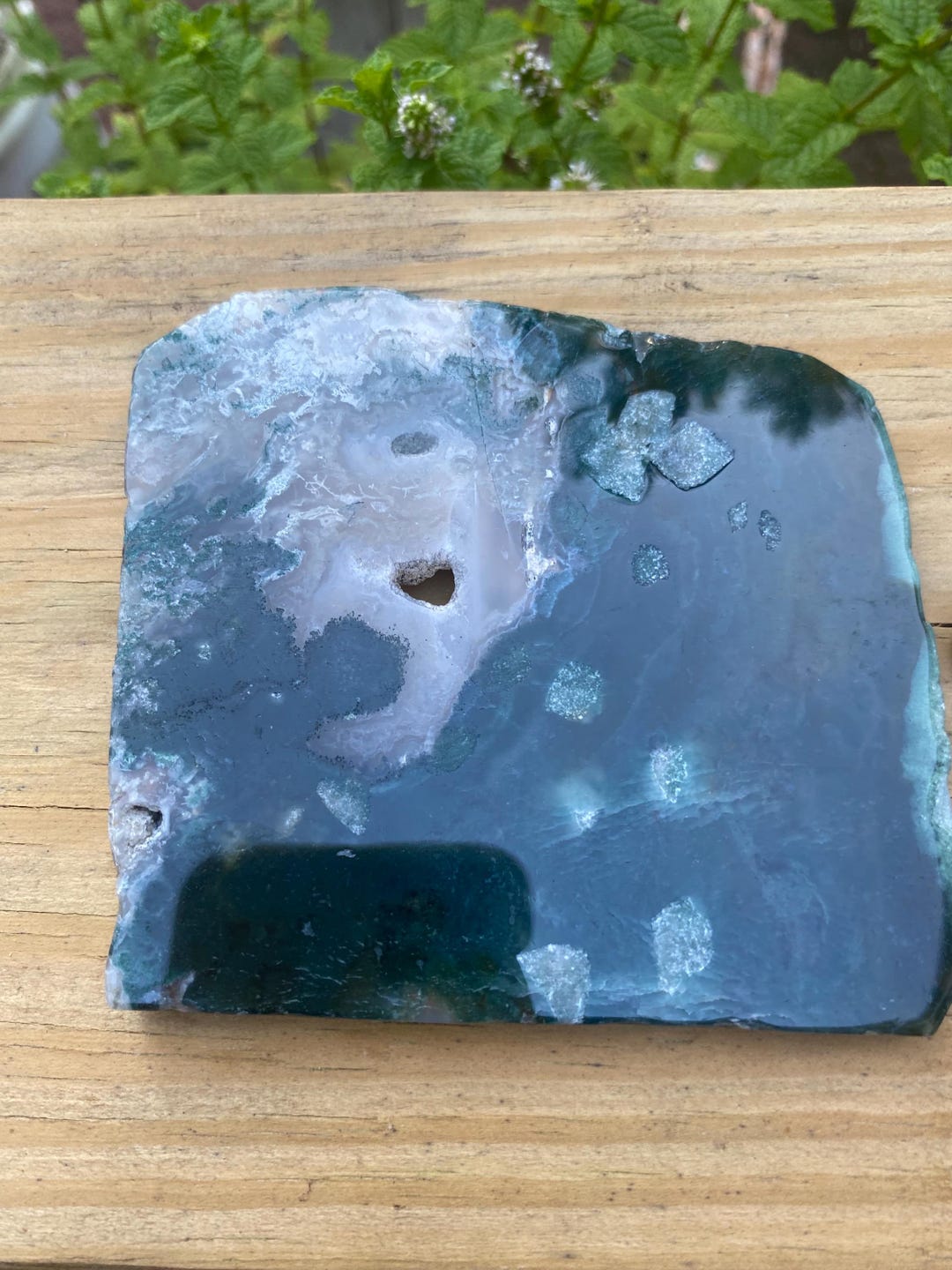 Tree Moss Agate Slab - Etsy
