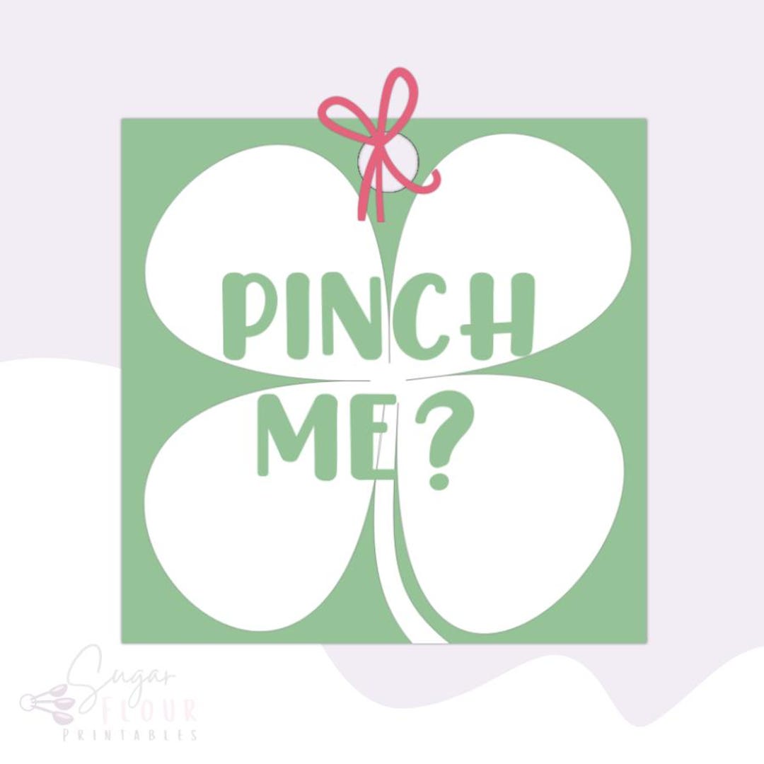 2” & 2.5” Pinch Me? Tag| Printable Gift Tag | Cookie Tag | St. Patrick ...