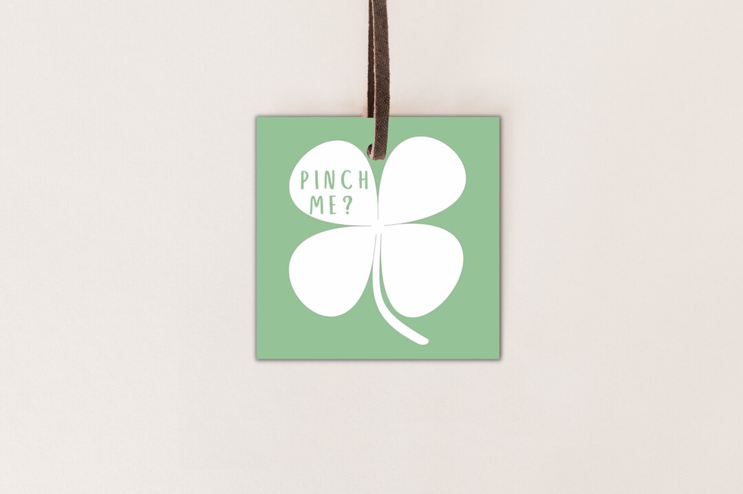 2 & 2.5 Pinch Me Tag Printable Gift Tag Cookie Tag St. Patricks Day Tag ...