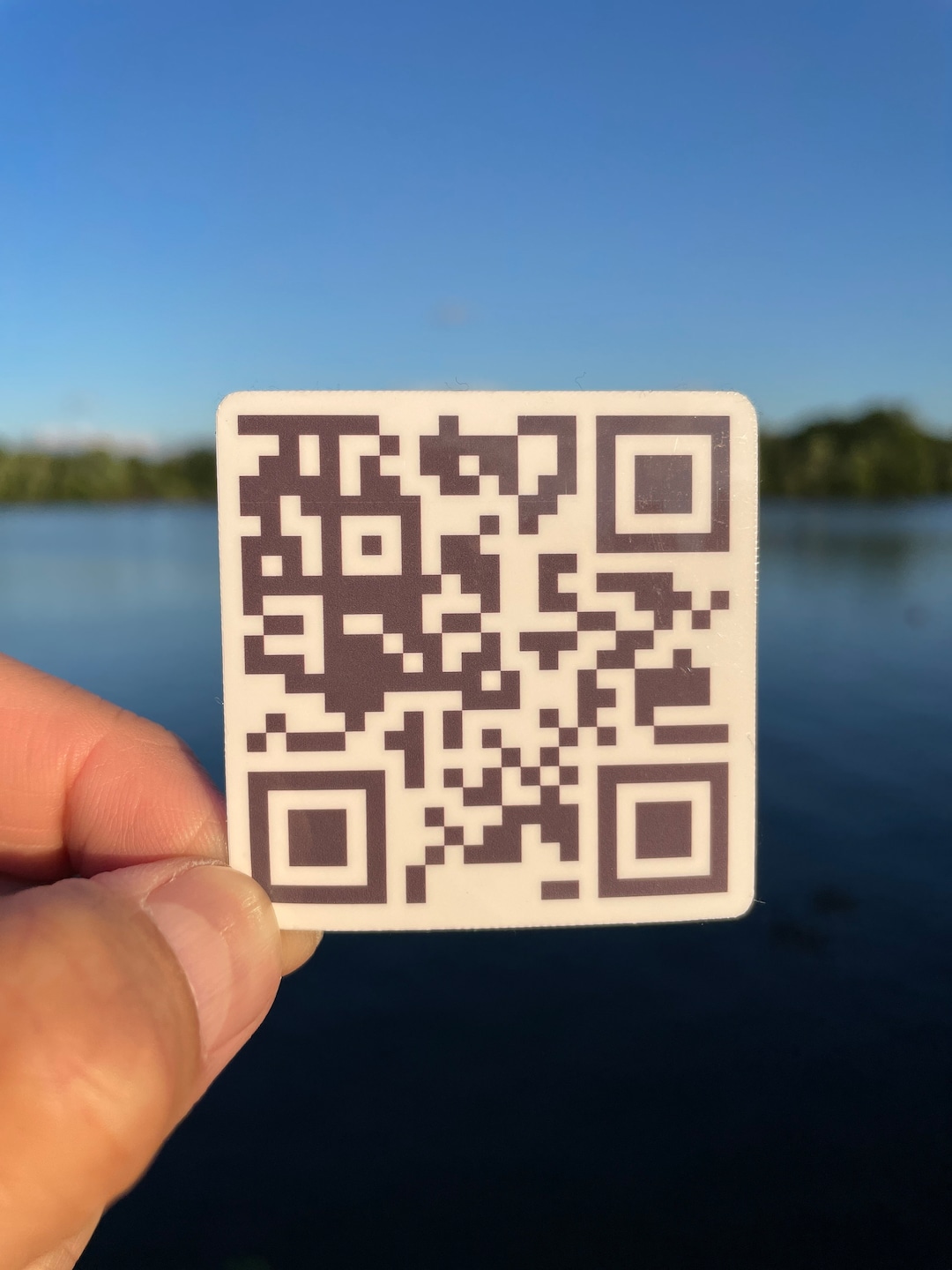 Rick Roll QR Code Vinyl Sticker - Etsy