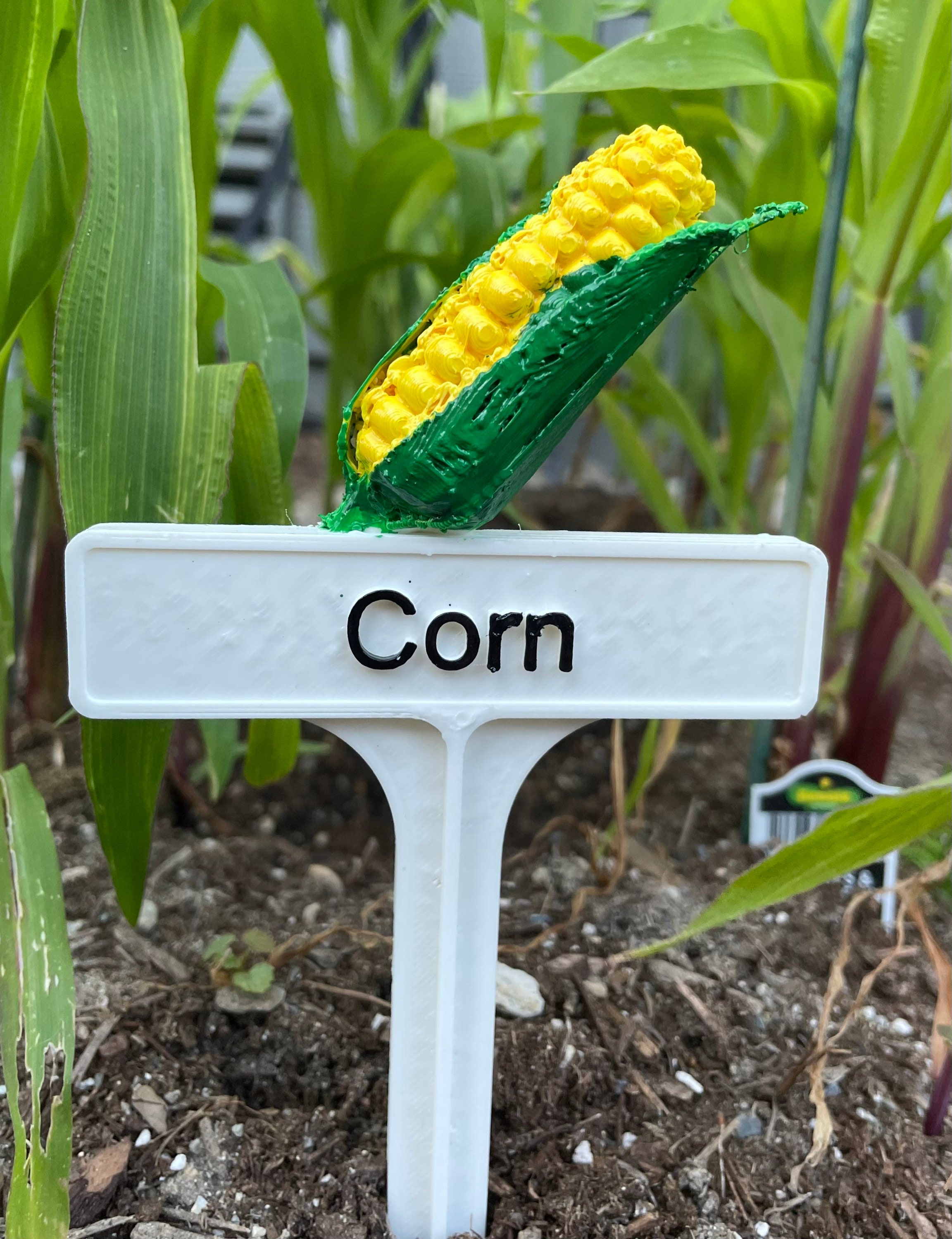 Hand Painted Plant Marker - Corn - Etsy