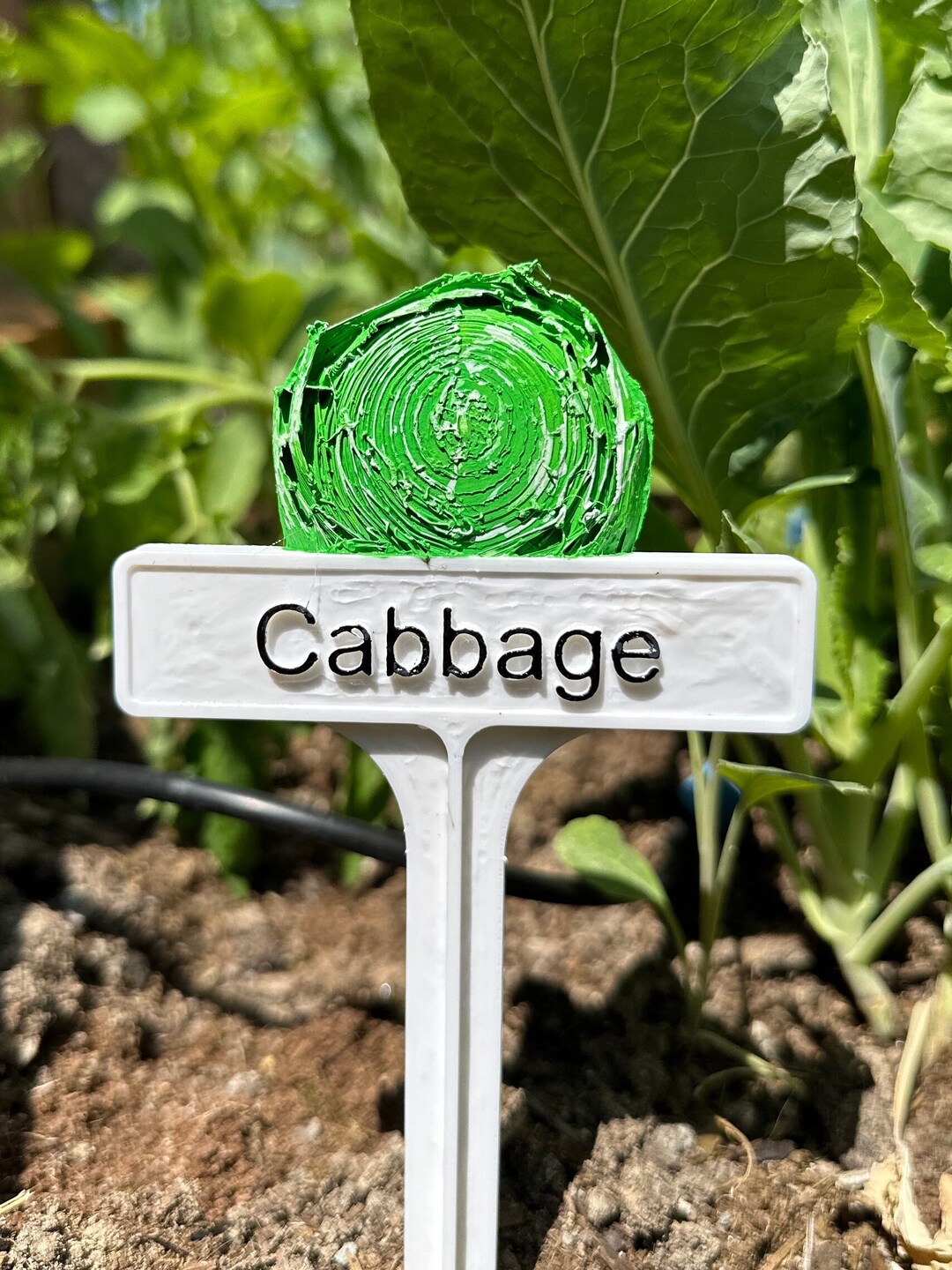 Hand Painted Plant Marker - Cabbage Green - Etsy