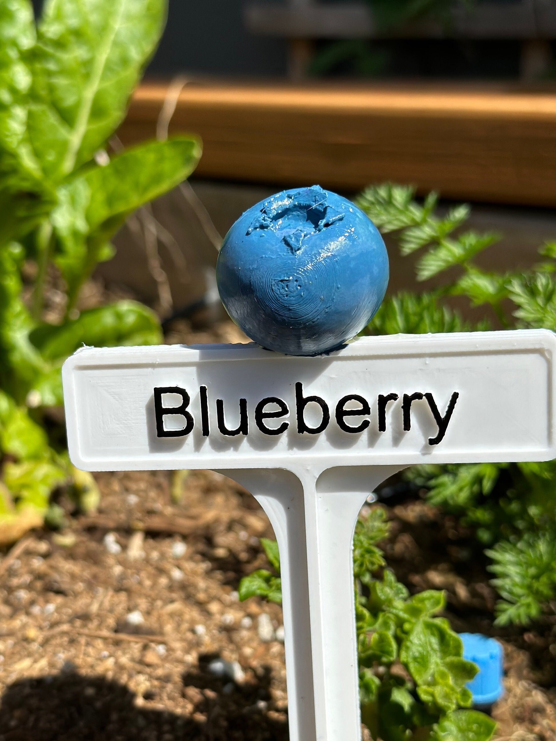 Hand Painted Plant Marker - Blueberry - Etsy