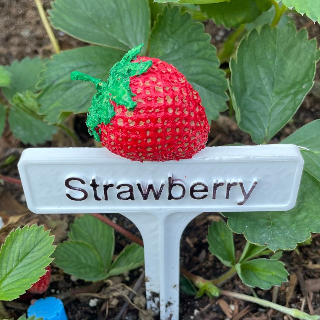 Hand Painted Plant Marker - Strawberry - Etsy