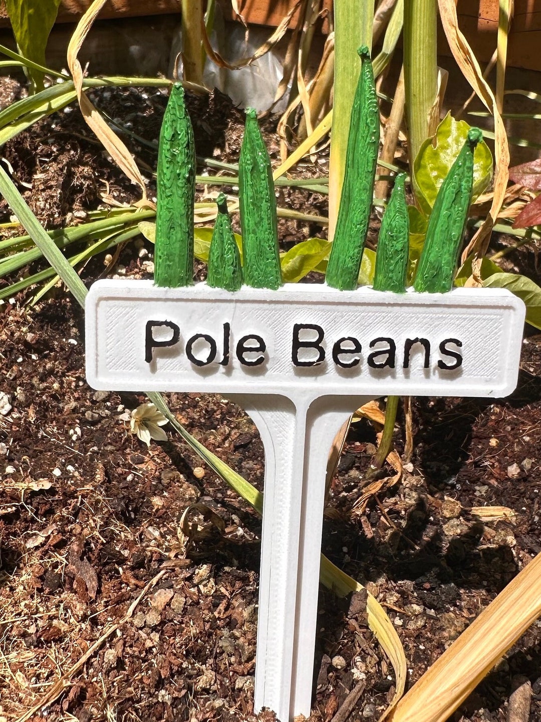Hand Painted Plant Marker - Pole Beans - Etsy