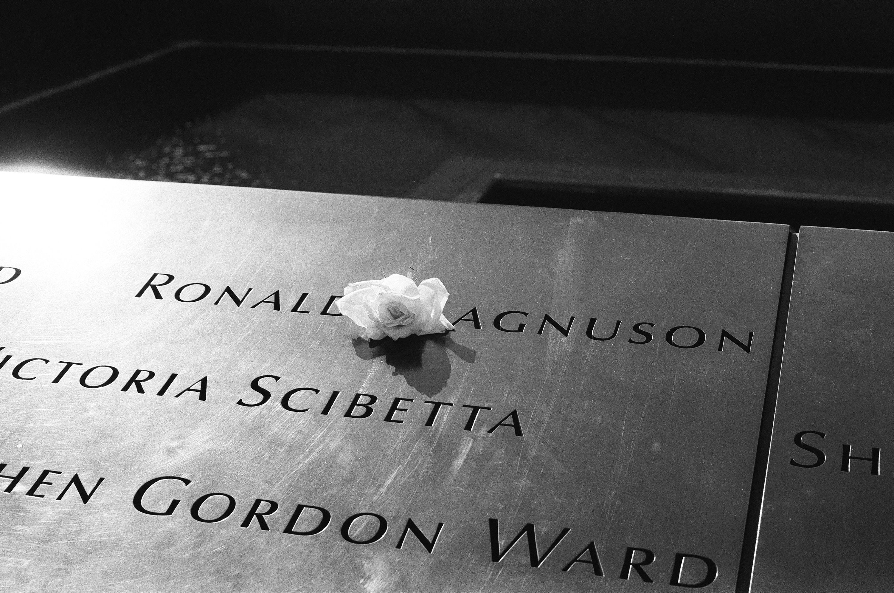 Never Forgotten 35mm Film Print art Matte Finish - Etsy