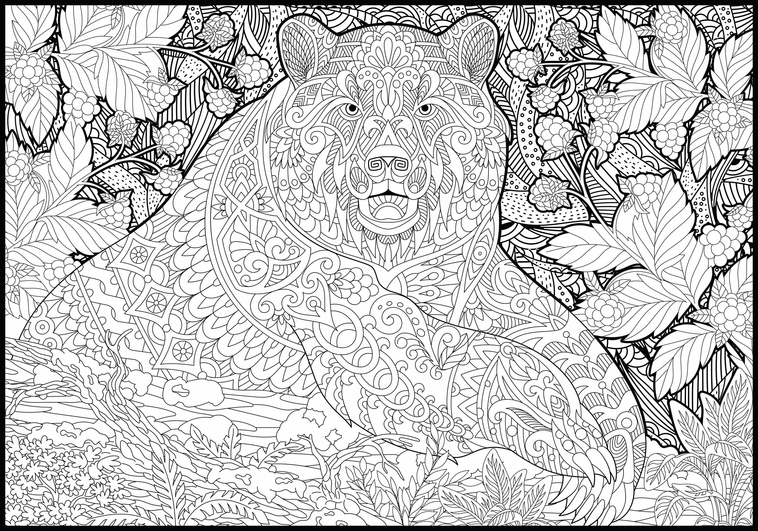 HUGE Coloring Poster–bear & Berries--coloring Activity for Groups ...