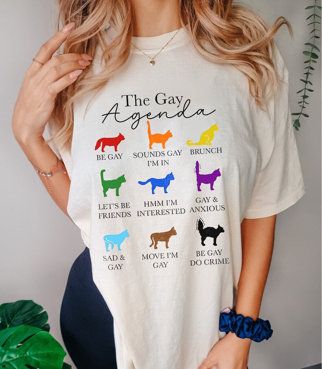 The Gay Agenda Shirt, Human Rights, Funny Gay Shirt, Rainbow LGBTQ ...