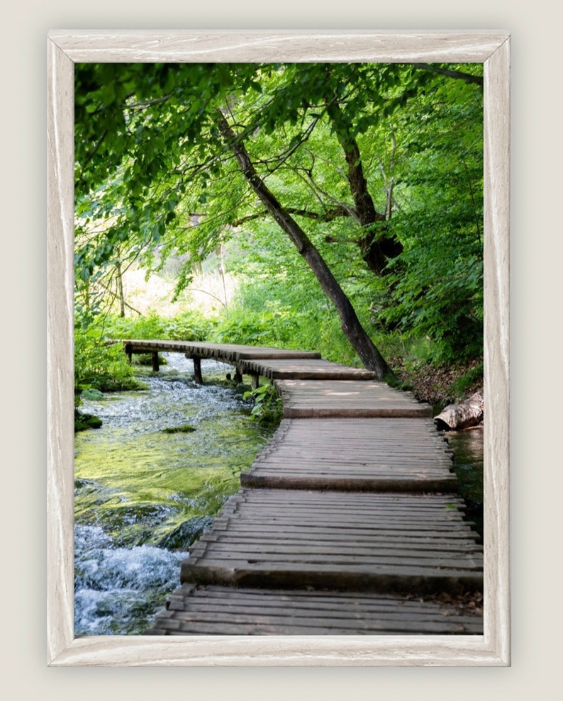 Forest Walkway - Etsy