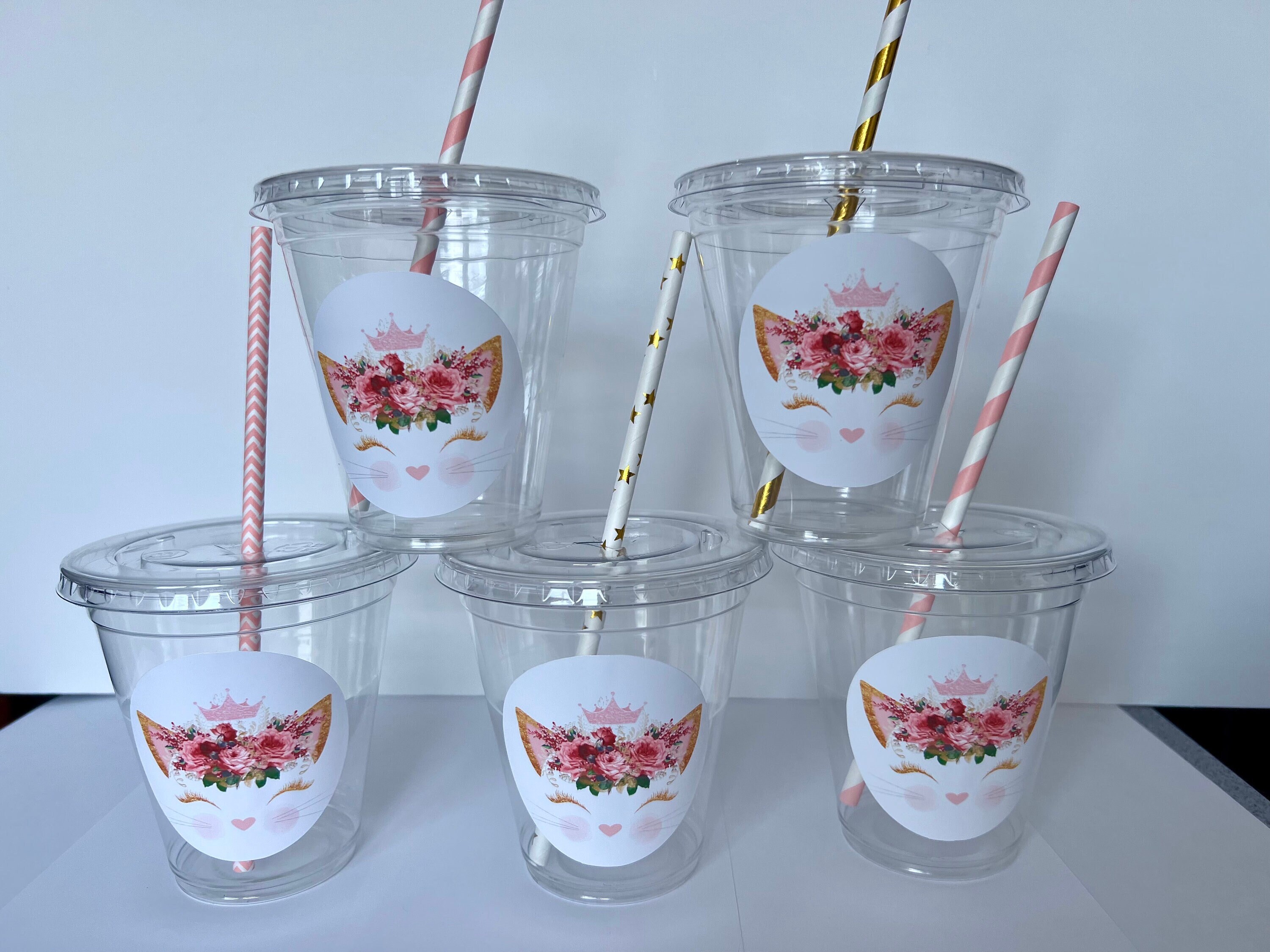 Princess Pink Cat Birthday Party Disposable Plastic Cups With Lids 16oz ...