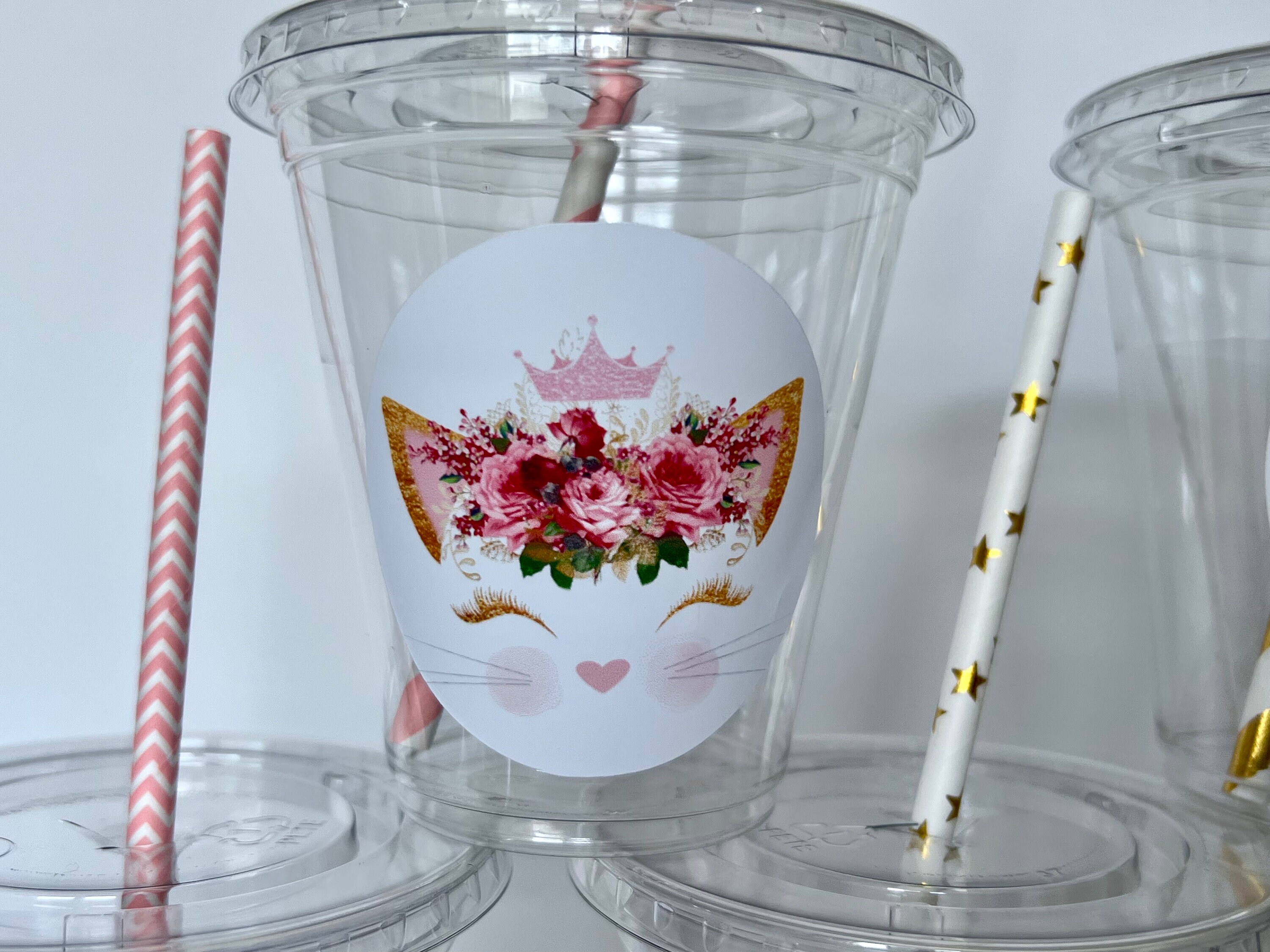 Princess Pink Cat Birthday Party Disposable Plastic Cups With Lids 16oz ...