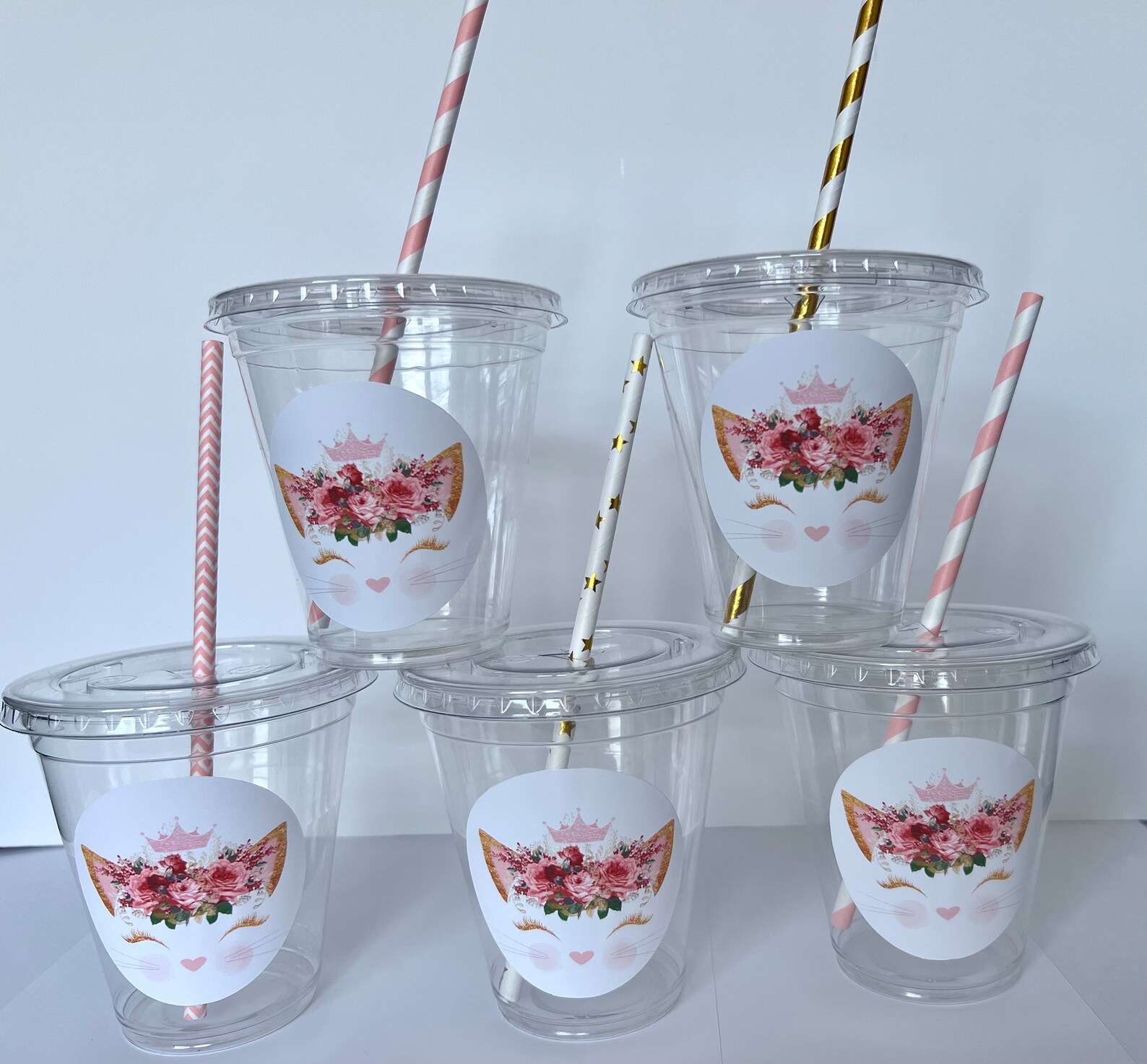Princess Pink Cat Birthday Party Disposable Plastic Cups With Lids 16oz ...